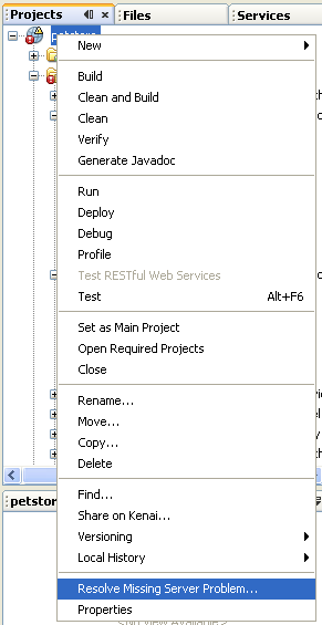 Resolving Missing Server Problem in NetBeans