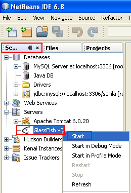 Starting the GlassFish web server